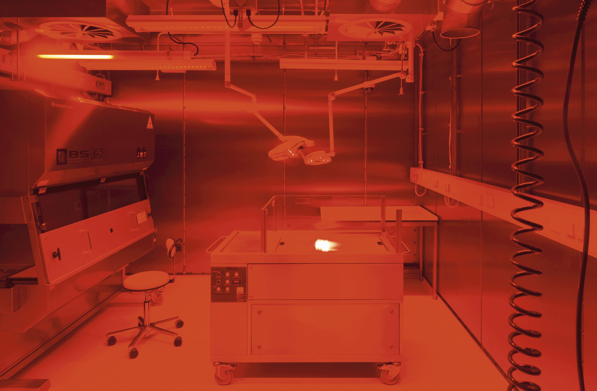 Rki Lighting | Shelly Lighting